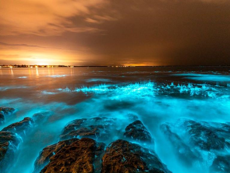 Algas bioluminescentes iluminam o mar na Austrália